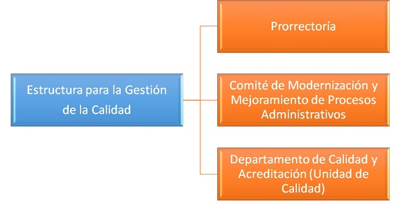 Estructura para la Gestión de la Calidad | Departamento de Calidad y ...
